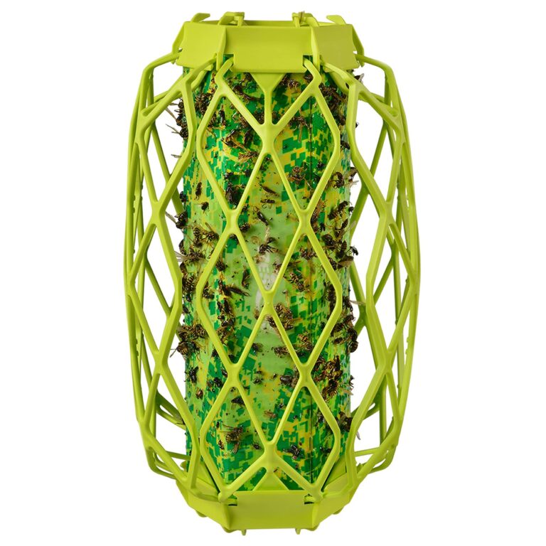 Screen-Free Summer Fun - wadeworkscreative.com