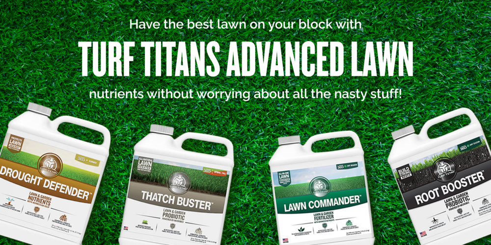 Screen-Free Summer Fun - wadeworkscreative.com